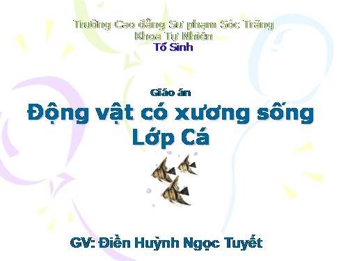 Lớp Cá- Cá sụn - Toán học - Dien Tuyet - Thư viện Bài giảng điện tử