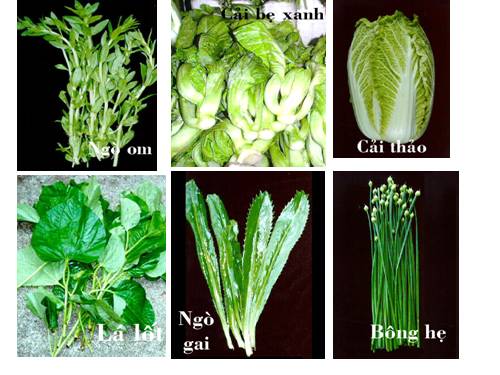 MOT SO LOAI RAU - Bài giảng khác - Xa Long Phuoc - Thư viện Bài giảng ...