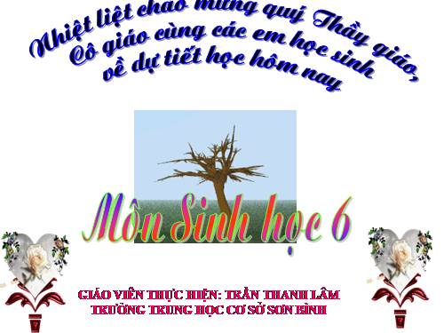 Bài 41. Hạt kín - Đặc điểm của thực vật Hạt kín - Sinh học 6 - Nguyễn ...