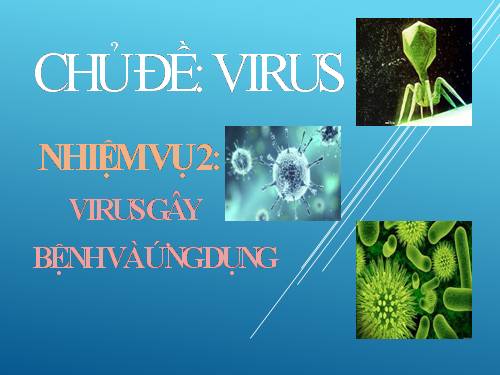 Bài 31. Virut gây bệnh, ứng dụng của virut trong thực tiễn - Sinh học ...