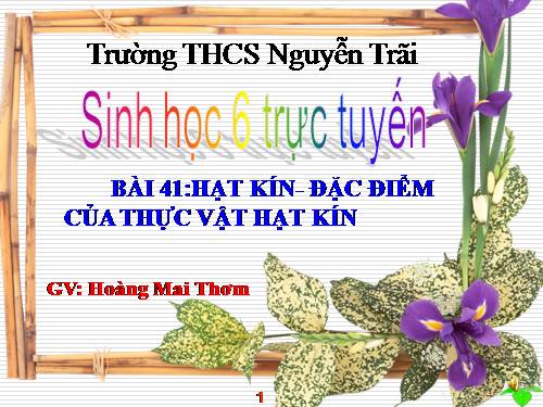 Bài 41. Hạt kín - Đặc điểm của thực vật Hạt kín - Sinh học 6 - Hoàng ...