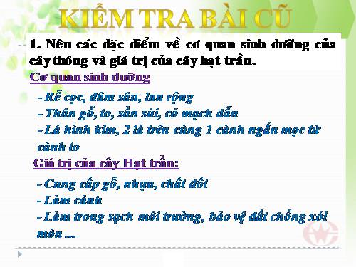 BÀI 41 - HẠT KÍN - ĐẶC ĐIỂM CỦA THỰC VẬT HẠT KÍN - Lưu trữ tạm thời ...