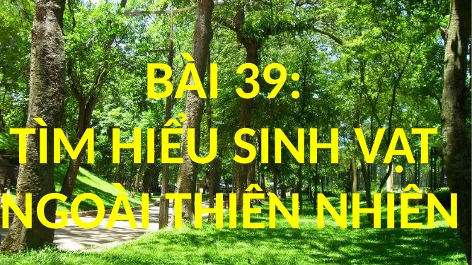 KNTT - Bài 39. Tìm hiểu sinh vật ngoài thiên nhiên - KHTN 6 - Trí Quang ...