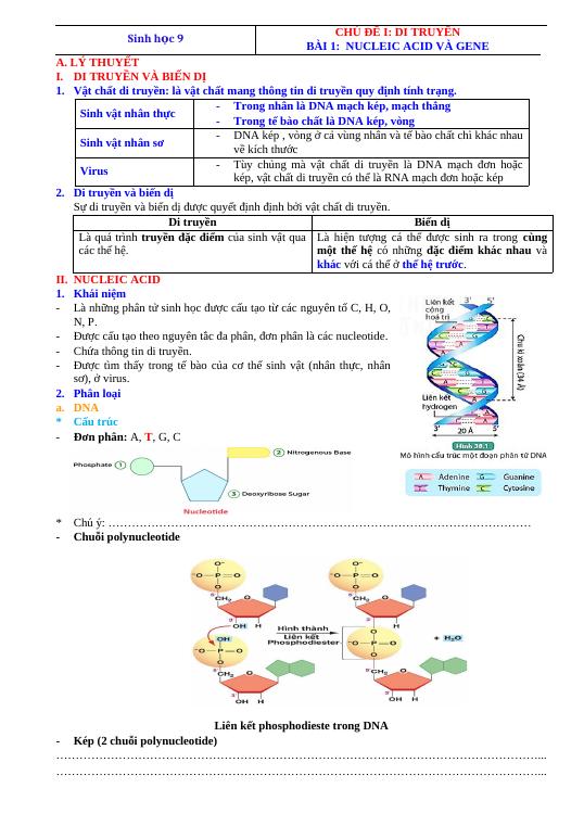 DNA và RNA - Sinh học 9 - Trần Thị Dung Thu - Thư viện Giáo án điện tử