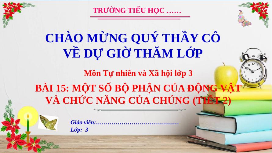 KNTT - Bài 15. Một số bộ phận của động vật và chức năng của chúng - Tự ...