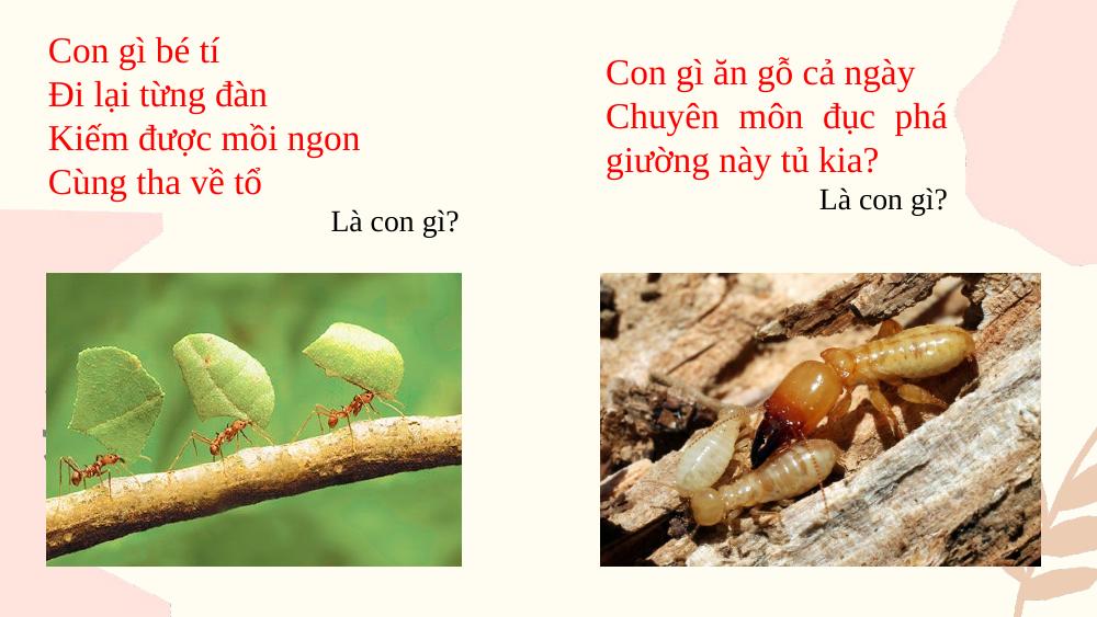 Bài 6: Bài học cuộc sống - Đọc: Con mối và con kiến (Nam Hương). - Ngữ ...