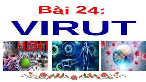 CTST - Bài 24. Virus - KHTN 6 - THCS Liên Quan - Thư viện Bài giảng điện tử